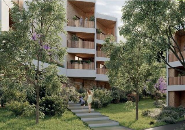 Christophe Cerverra, Le coach de votre patrimoine