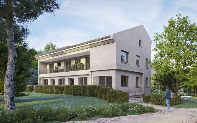 Christophe Cerverra, Le coach de votre patrimoine