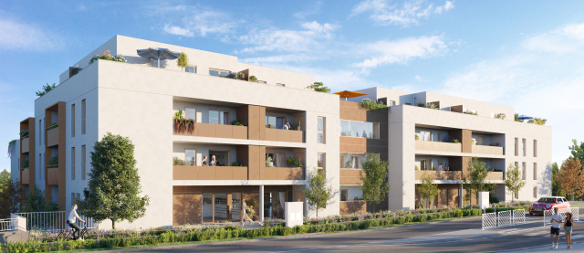 Christophe Cerverra, Le coach de votre patrimoine